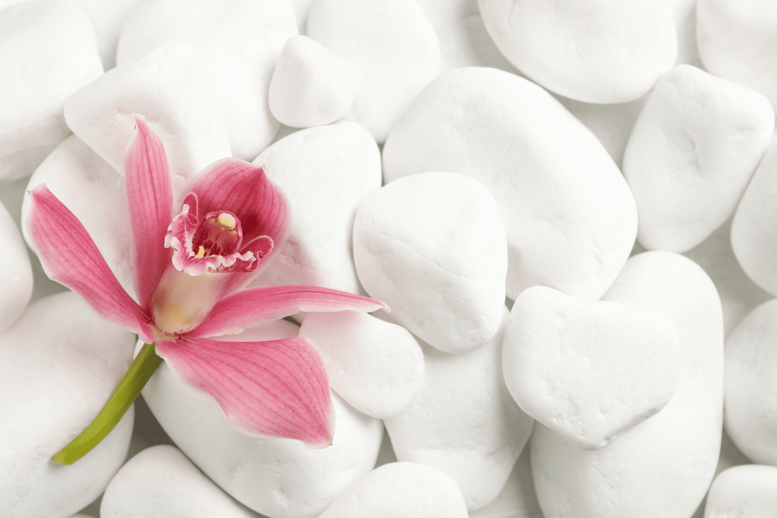 BTL EMSELLA® Behandlung | Frauenarztpraxis Grafing bei München